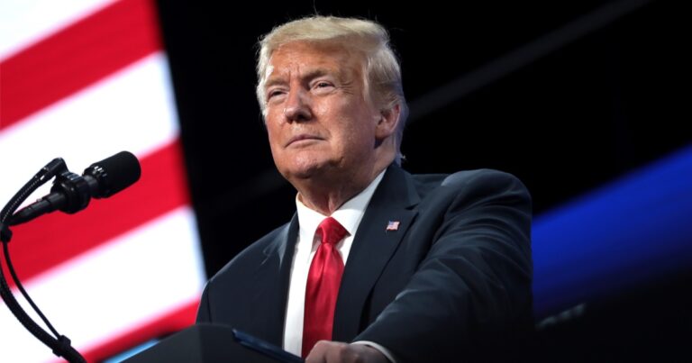 Former aide Hayley Harrison named as Melania Trump's new chief of staff ...